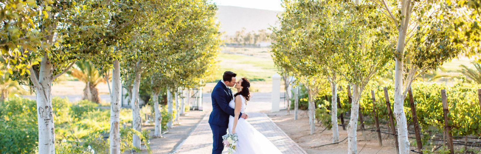 DuVon Wines Wedding Estate Special | Competitions & Specials