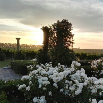 Stellenrust 2020/21 Wedding Special | Competitions & Specials