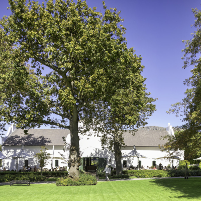 Steenberg Hotel & Spa | Guest Accommodation