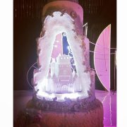 Sugar Coated Cakes | Wedding Cakes & Candy