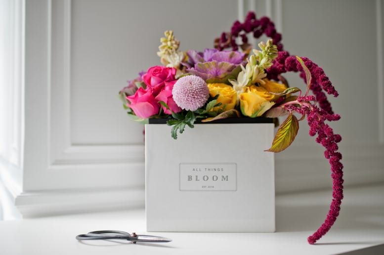 All Things Bloom | Articles & Interviews