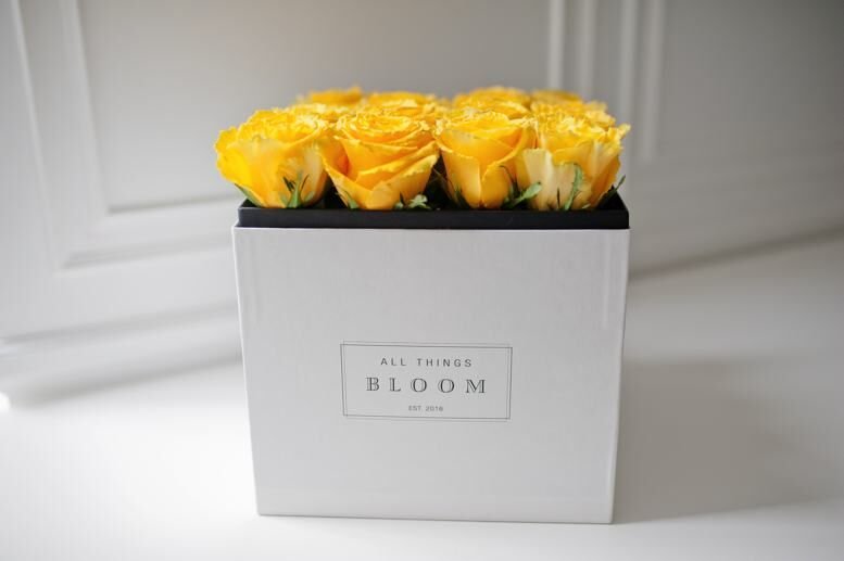 All Things Bloom | Articles & Interviews