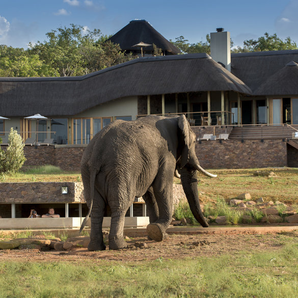 The Ultimate Bush Destination | Articles & Interviews